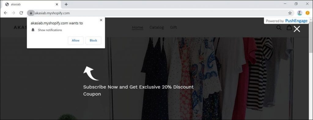 5 Tips To Boost Your Subscription Rate Using Web Push Notifications